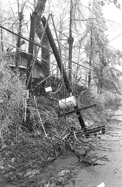 ‘Survivors’ Recall Tense Moments In 1994 Storm – The North Mississippi ...