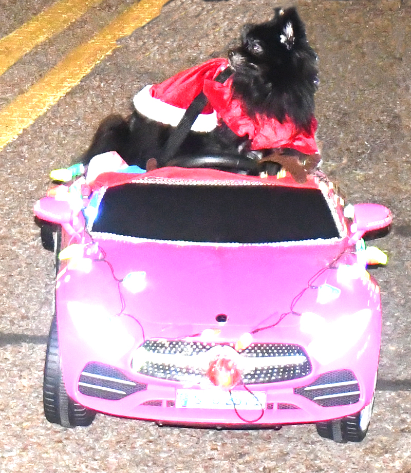 Miss Maggie Was Star Of The Parade – The North Mississippi Herald