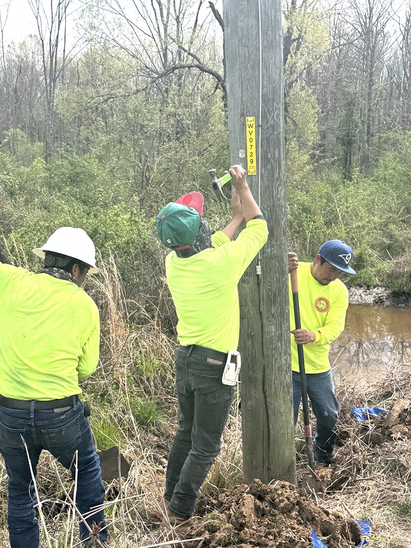 Utility Commission Launches Pole Inspection Project – The North ...