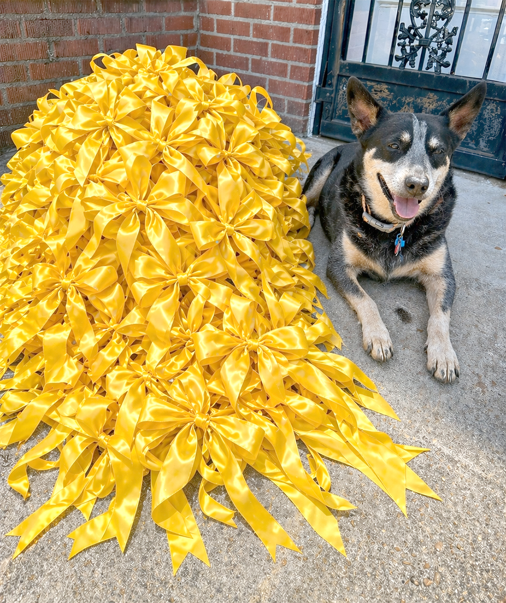 Yalo-Ribbon Festival Is Saturday In Oakland – The North Mississippi Herald